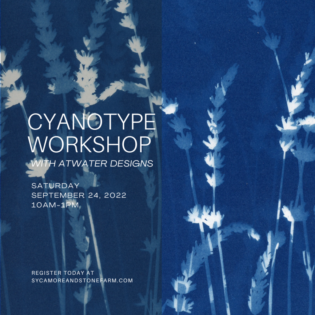 Cyanotype Workshop with Atwater Designs - Showit Blog