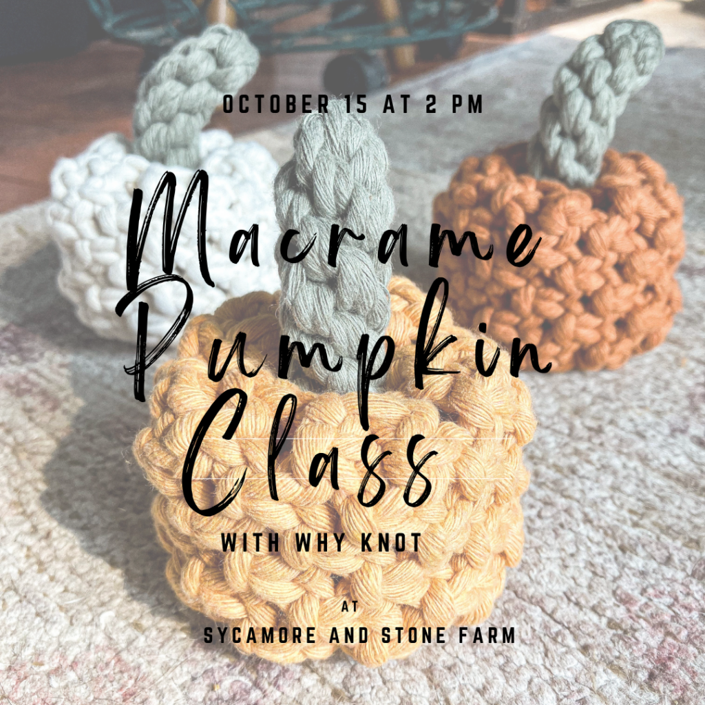 Macrame Pumpkin Class with Why Knot - Showit Blog