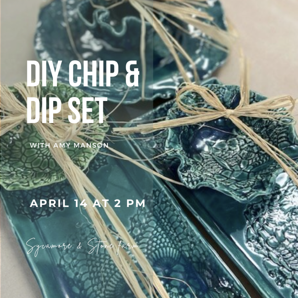 DIY Chip & Dip Set! - Showit Blog