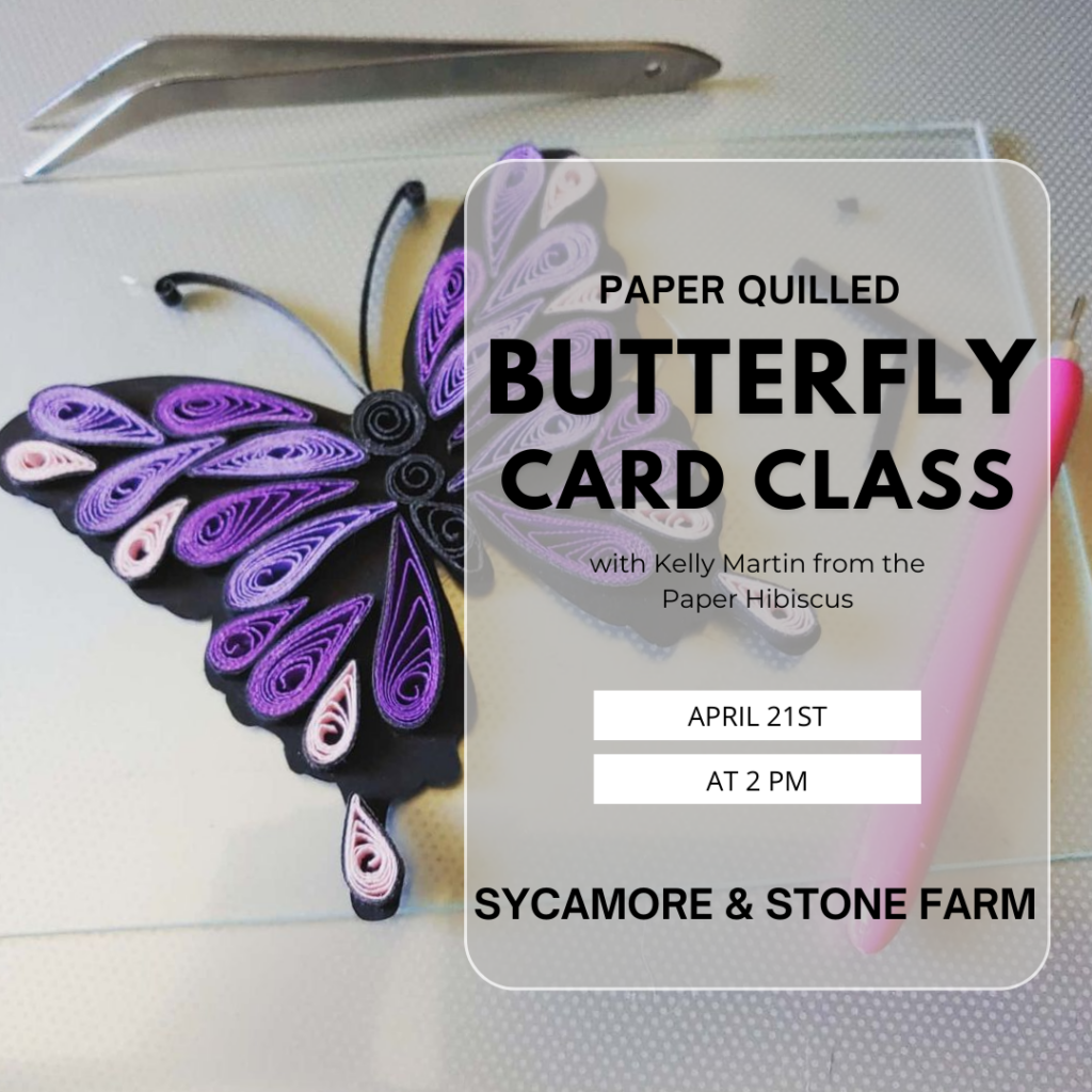 Paper Quilled Butterfly Card - Showit Blog