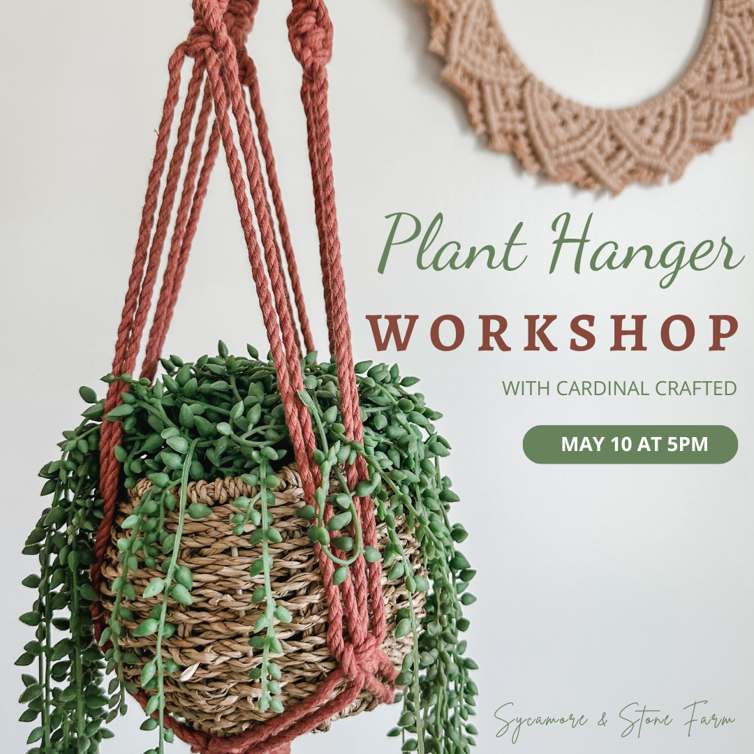 Plant Hanger Workshop with Cardinal Crafted - Showit Blog